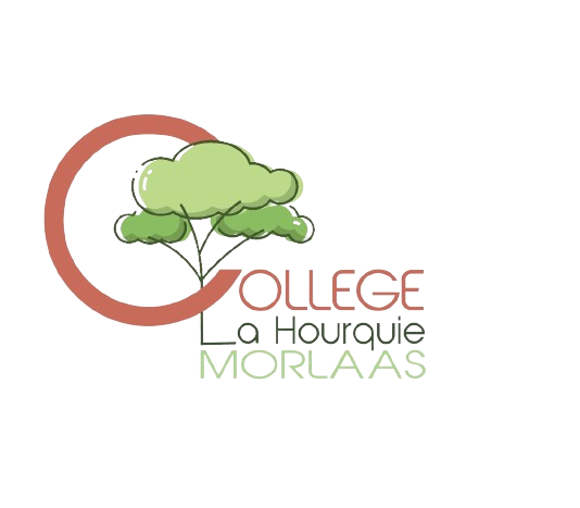 Section sportive Handball - Collège La Hourquie Morlaàs